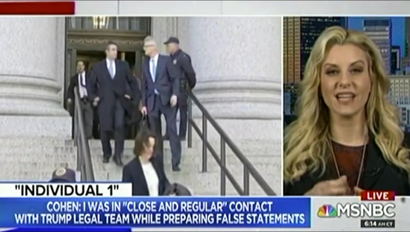 Marietta Criminal Attorney | Ashleigh Merchant on MSNBC 12/2/18